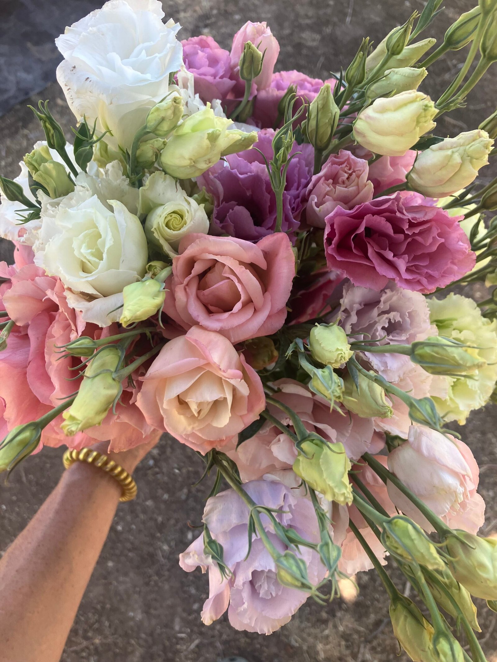 Down Valley Flowers - West Slope wholesale cut flowers for florists and ...