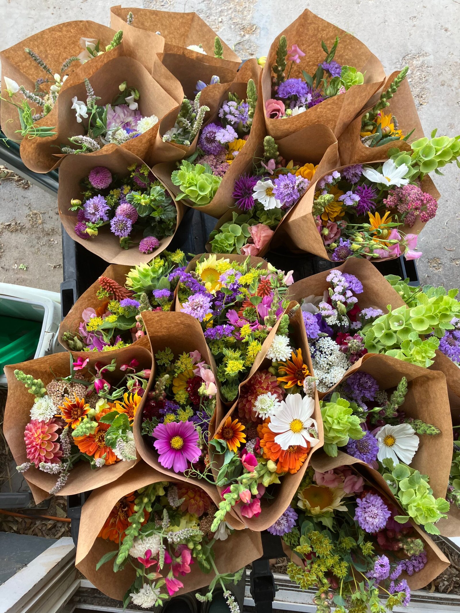 Down Valley Flowers - West Slope wholesale cut flowers for florists and ...