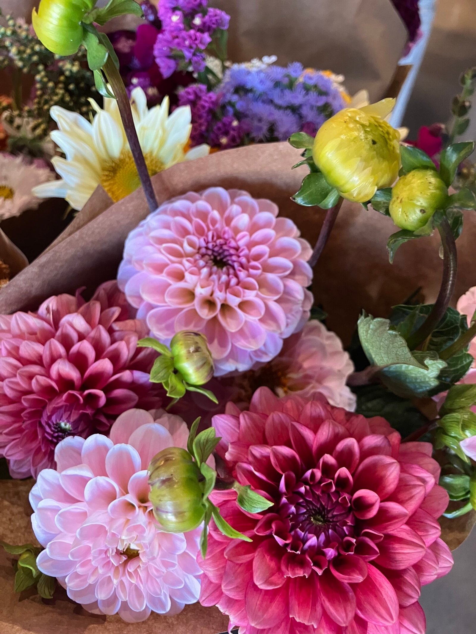 Down Valley Flowers - West Slope wholesale cut flowers for florists and ...