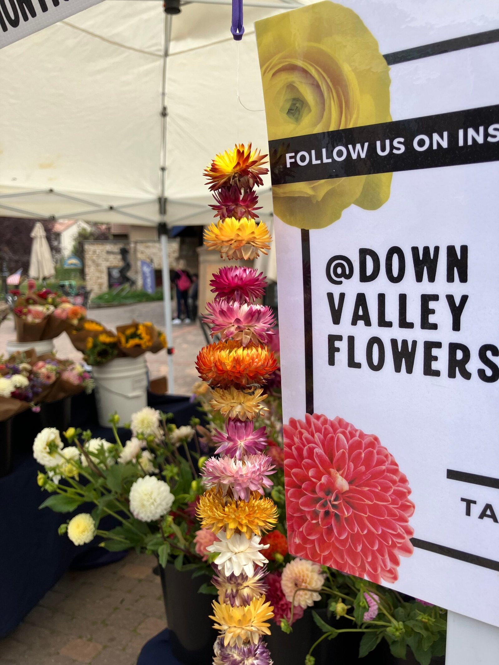 Down Valley Flowers - West Slope wholesale cut flowers for florists and ...